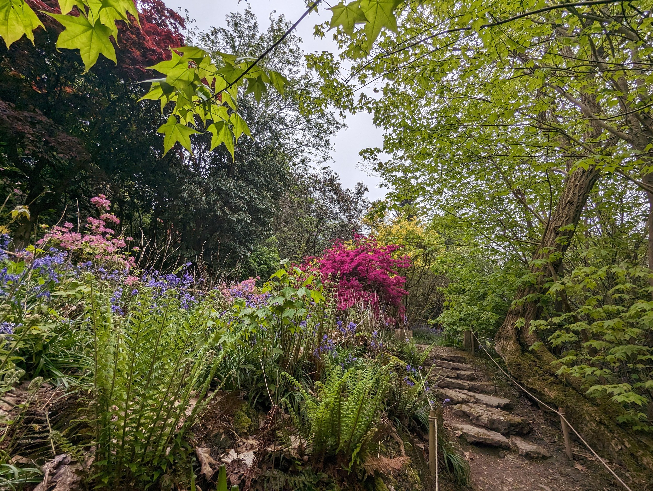 Riverhill Himalayan Gardens