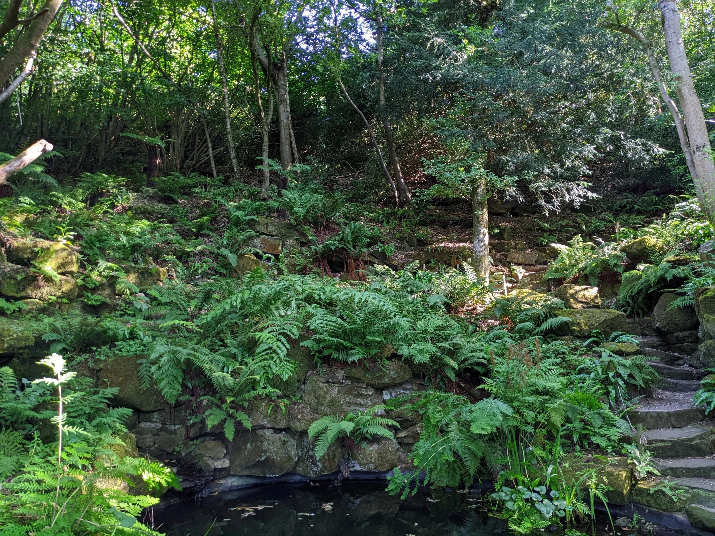 Garden Guide — Riverhill Himalayan Gardens