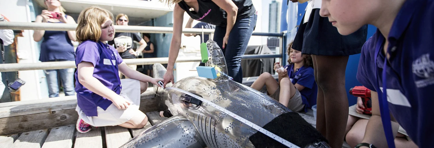 How OCEARCH Gives Our Oceans a Lifeline