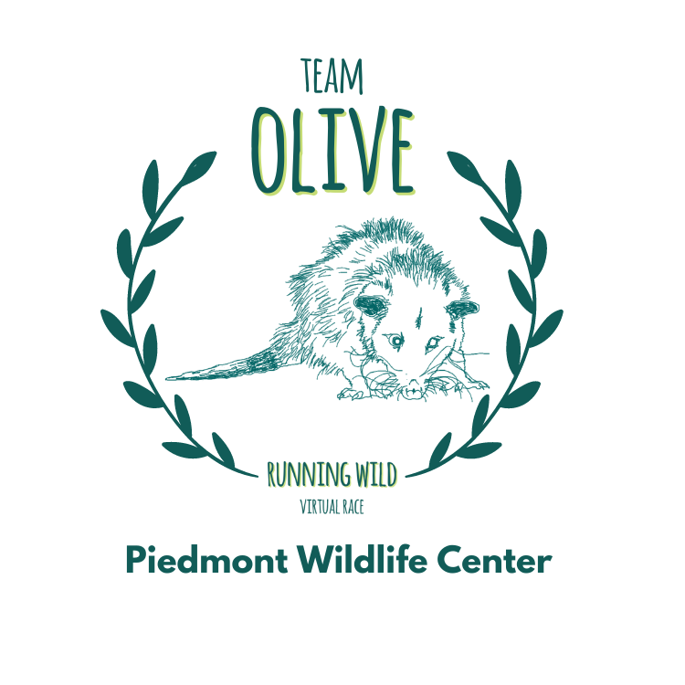 PWC Presents Running Wild, Our Unique Virtual Race — Piedmont Wildlife ...