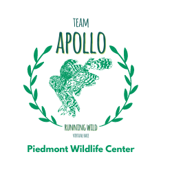 PWC Presents Running Wild, Our Unique Virtual Race — Piedmont Wildlife ...