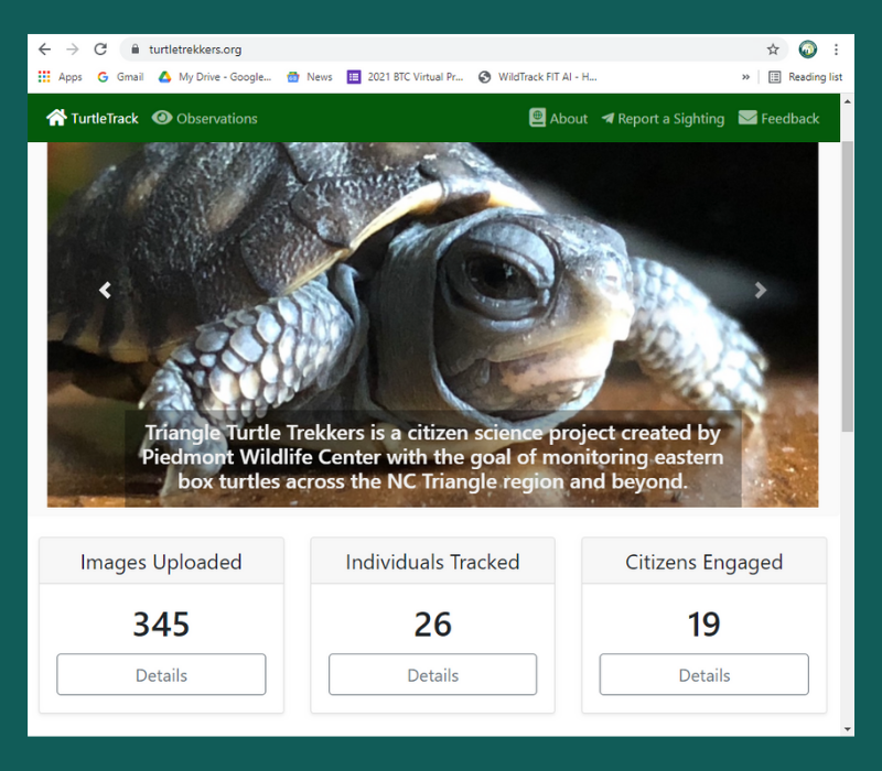 Turtle Trekkers is Tapping into AI! — Piedmont Wildlife Center