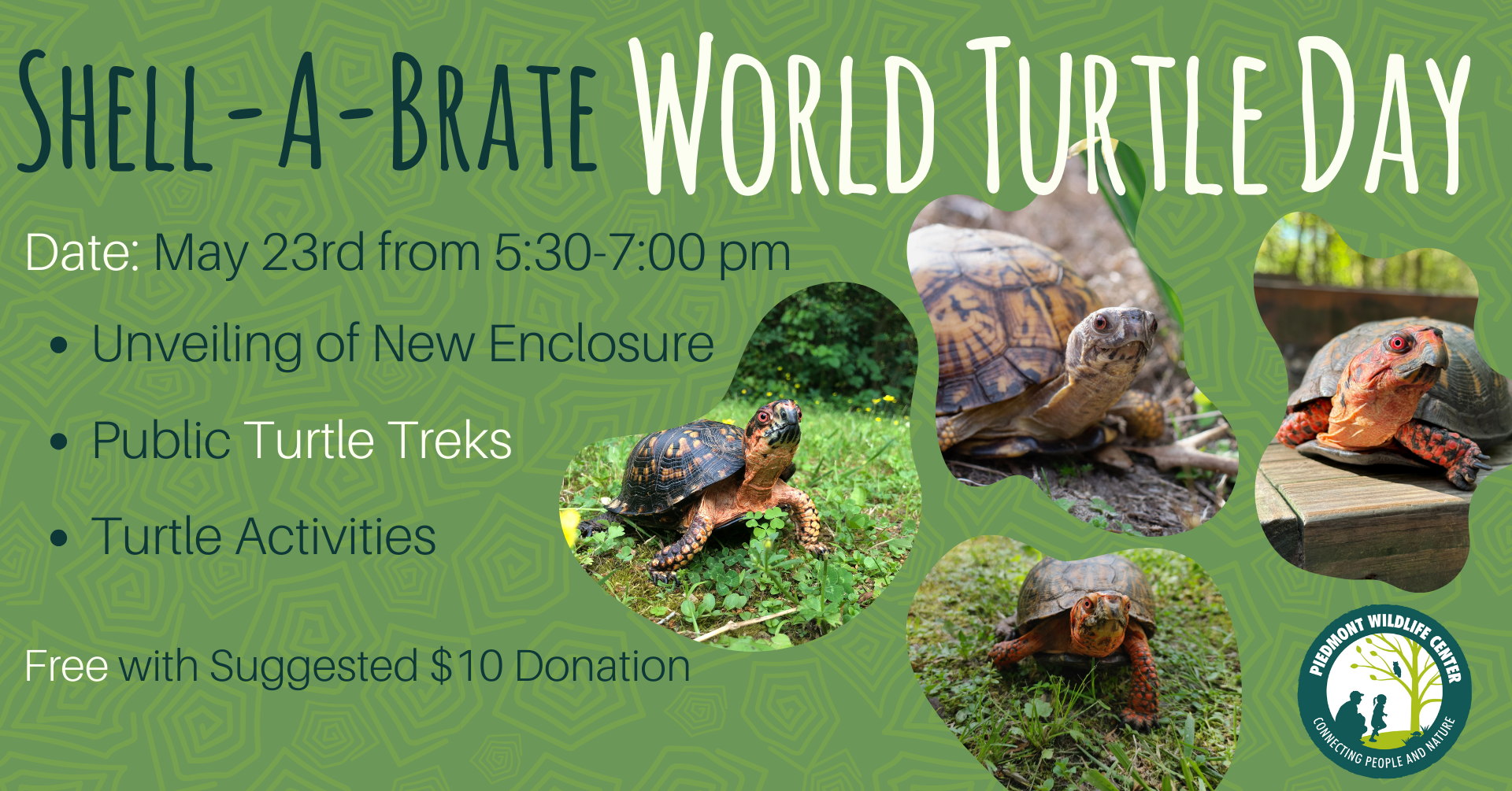 Shell-A-Brate World Turtle Day — Piedmont Wildlife Center