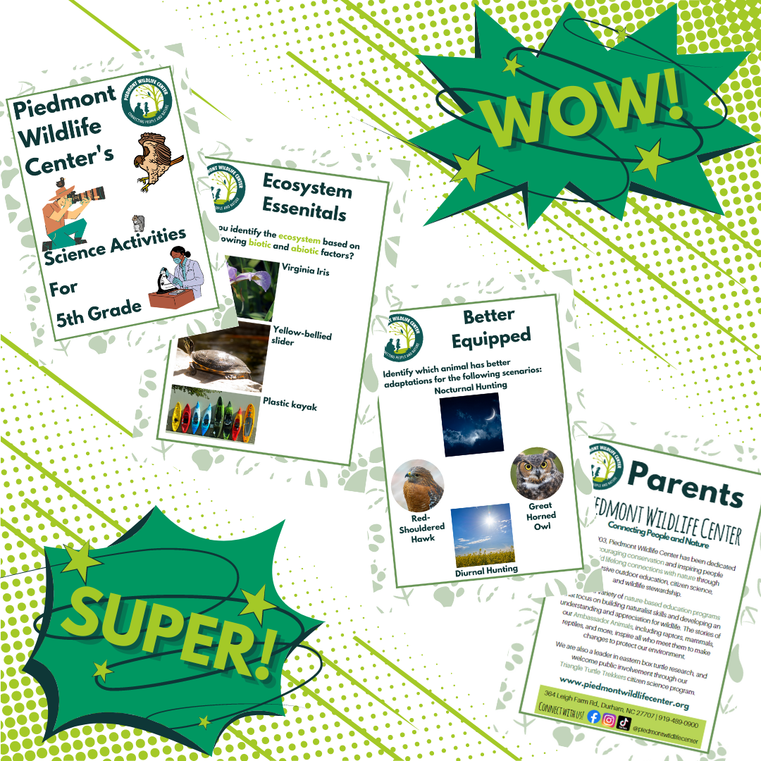 5th Grade Activity Booklet — Piedmont Wildlife Center