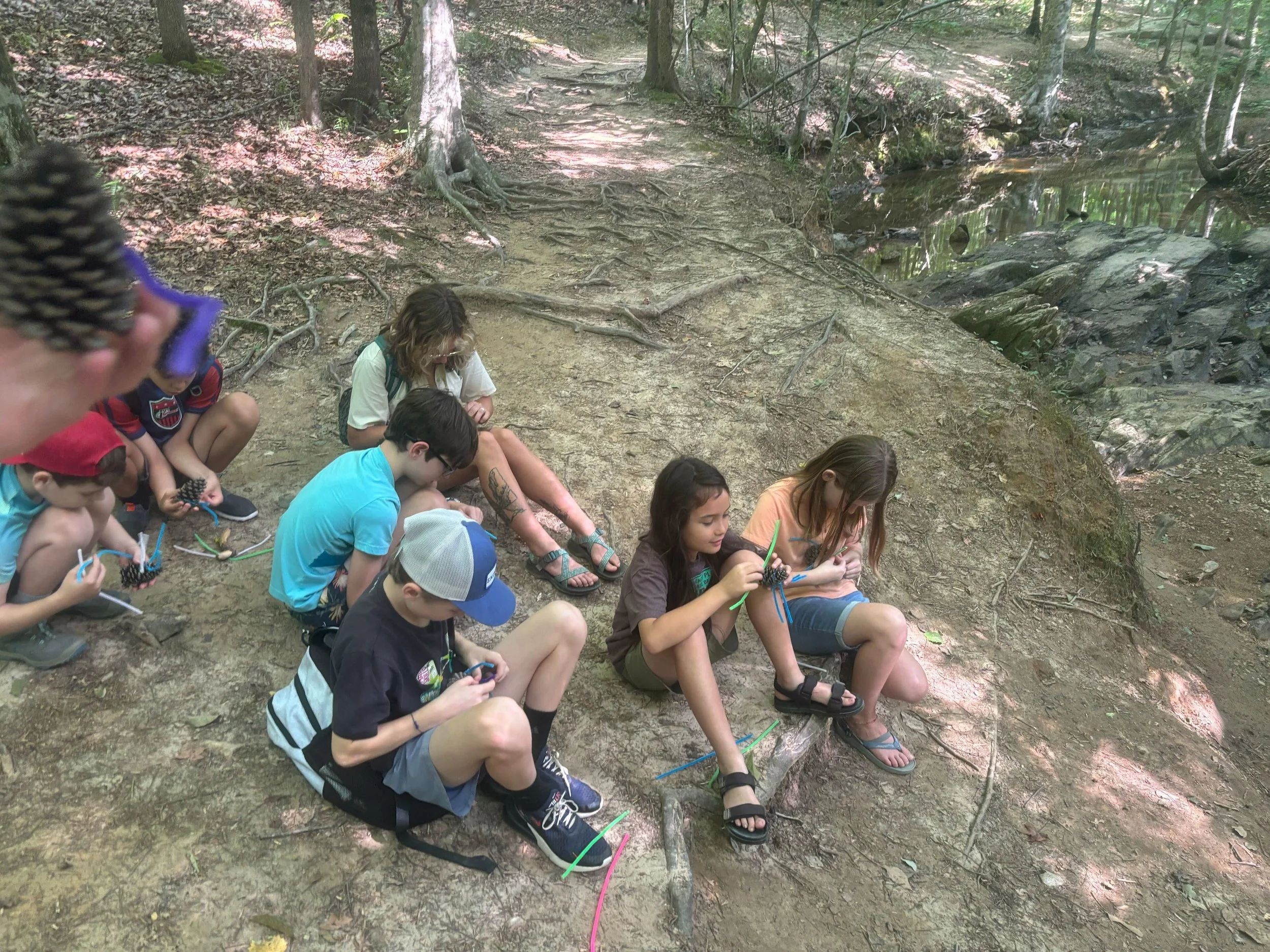 wc-2024-6/17-21-ART-thropods — Piedmont Wildlife Center