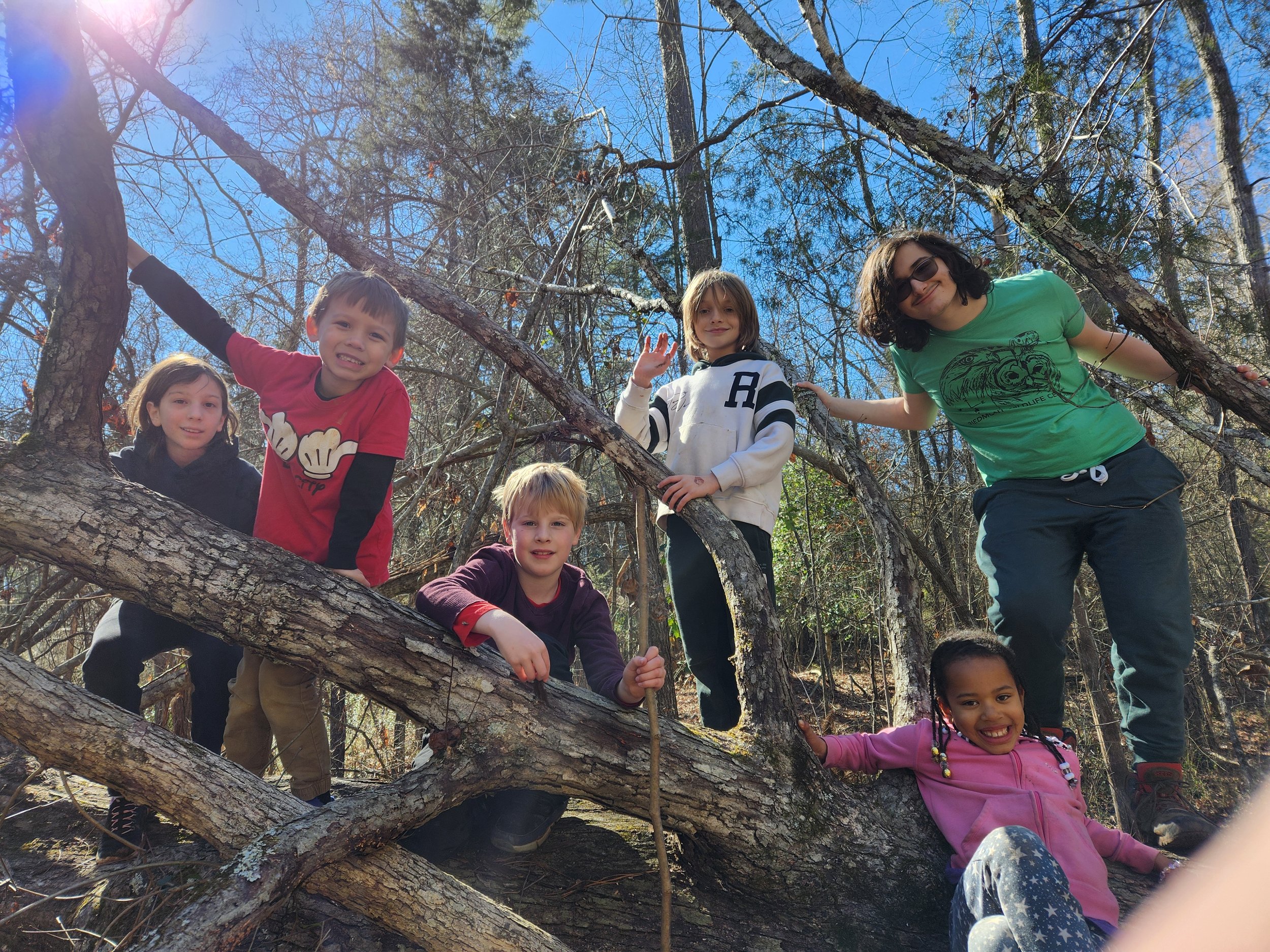 Durham Spring Camp — Piedmont Wildlife Center