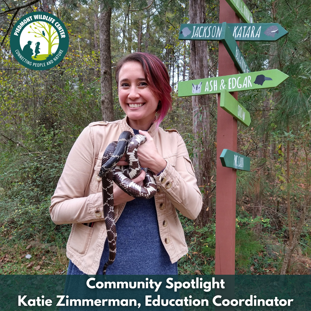 Community Spotlight: Meet Katie Zimmerman! — Piedmont Wildlife Center