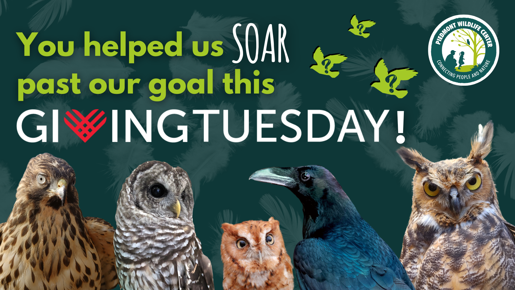 You helped us SOAR past our goal this GivingTuesday — Piedmont Wildlife ...