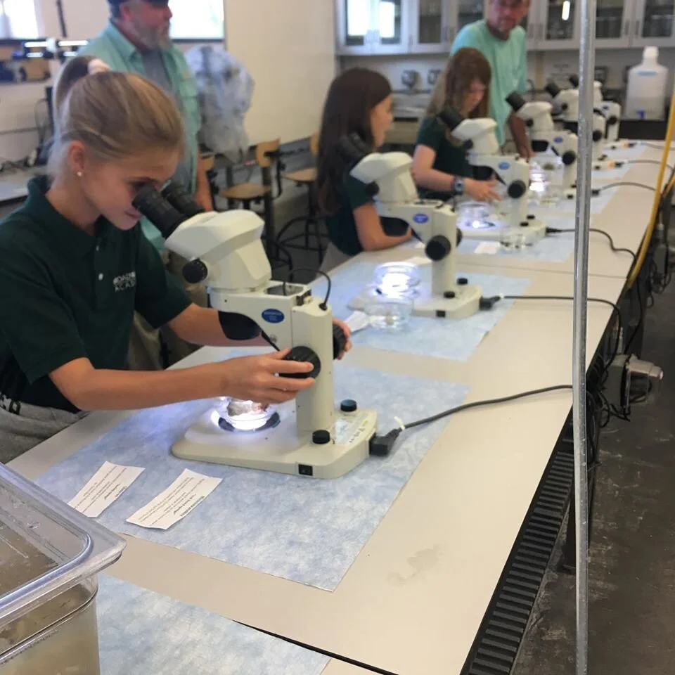 Lower School — Broadwater Academy