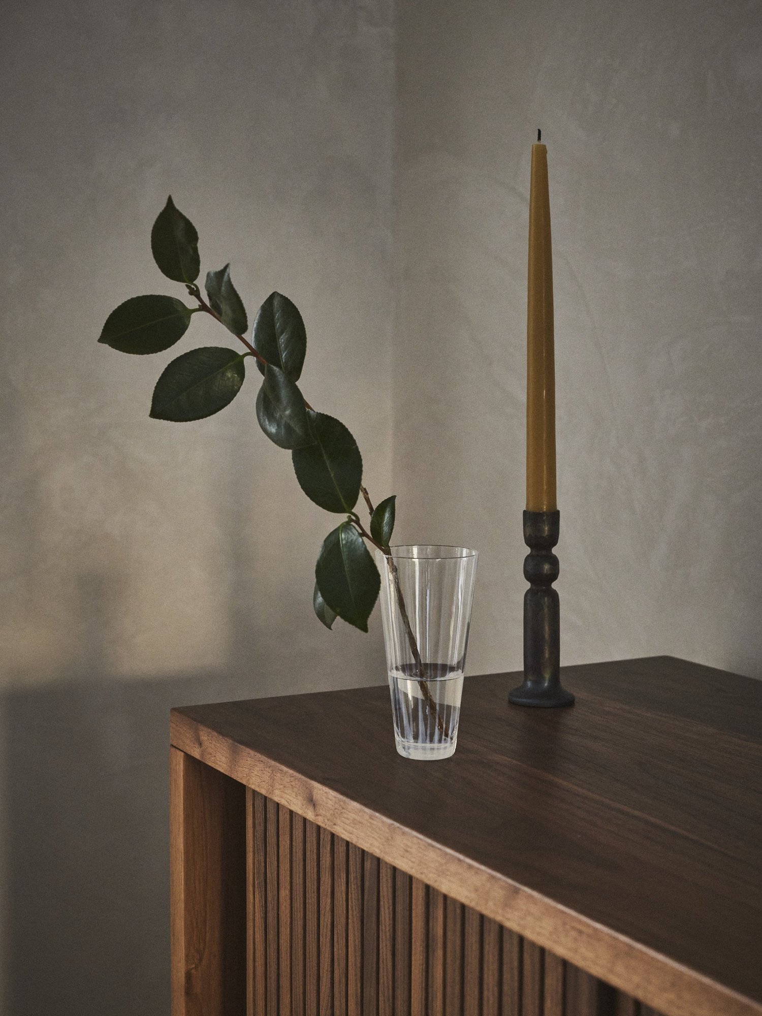 Project — Primary Essentials — Brittany Albert