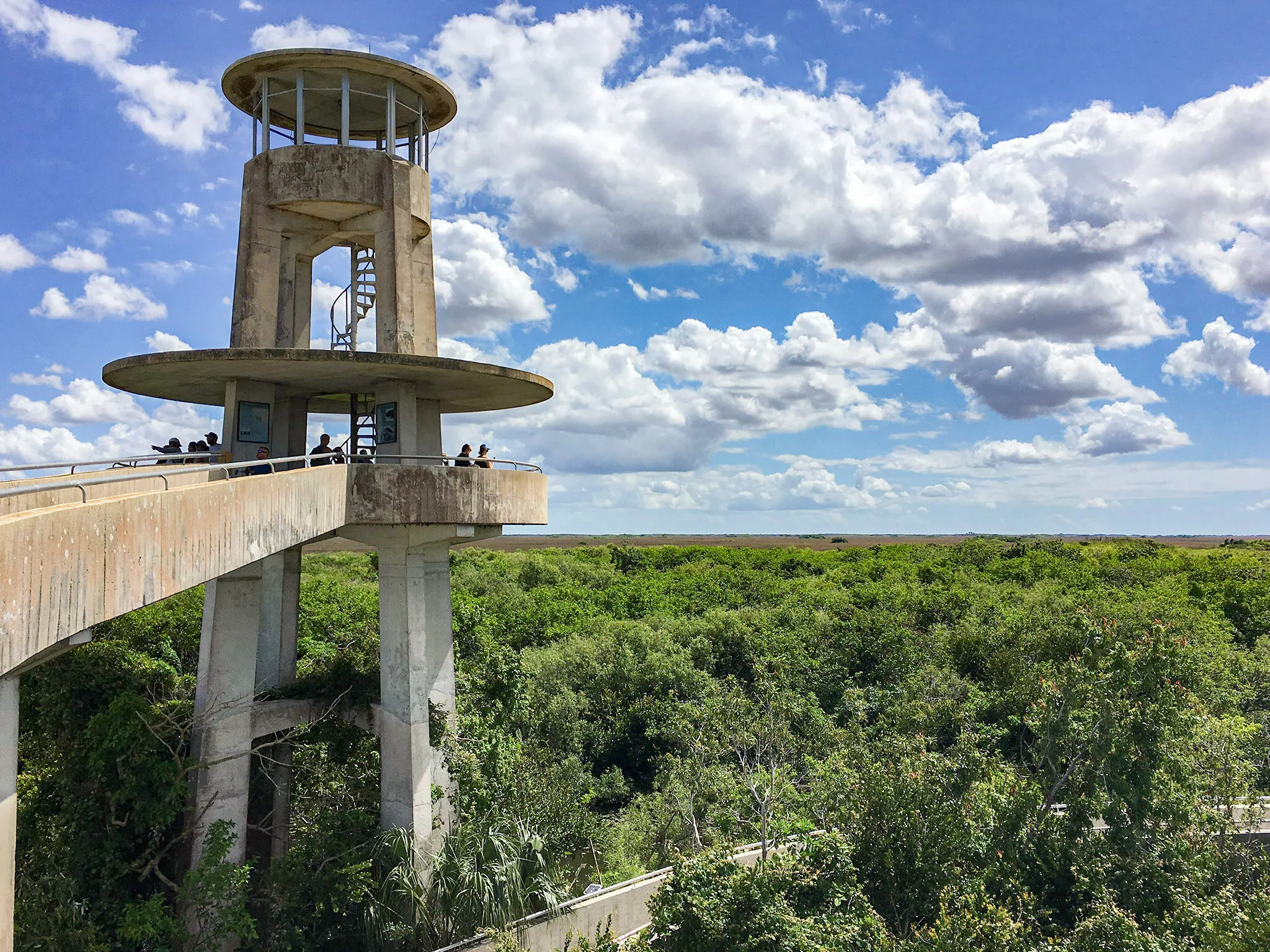 Shark Valley — Wildlife Nav