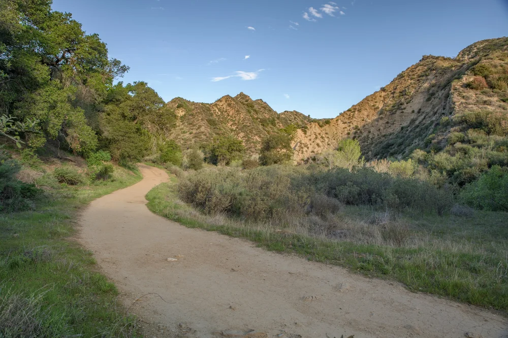 Towsley Canyon — Wildlife Nav