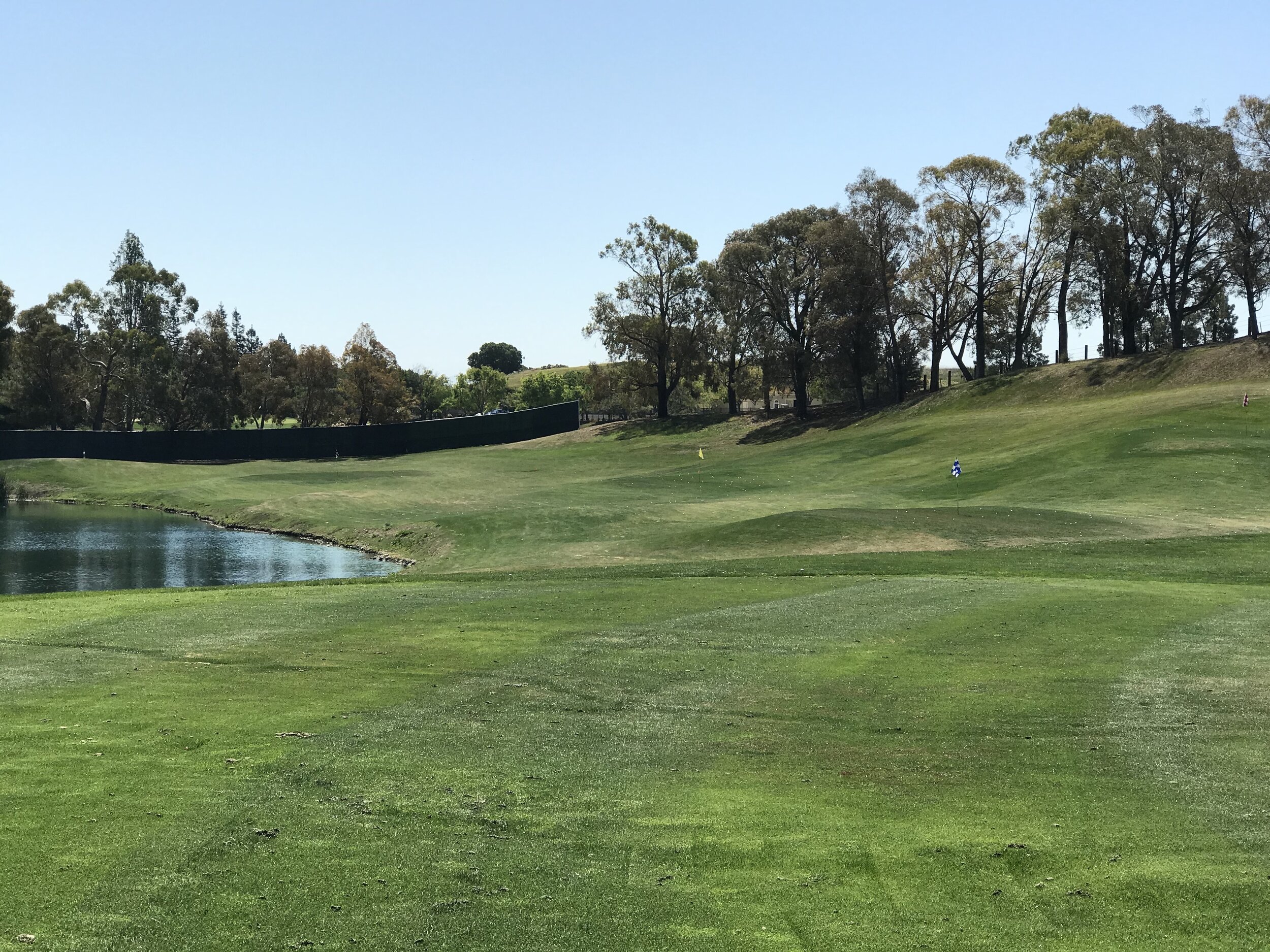 Adult Golf Lessons — Golf lessons and Coaching