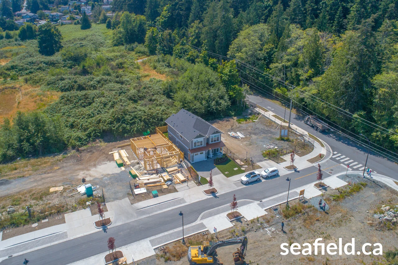 The Location — Seafield