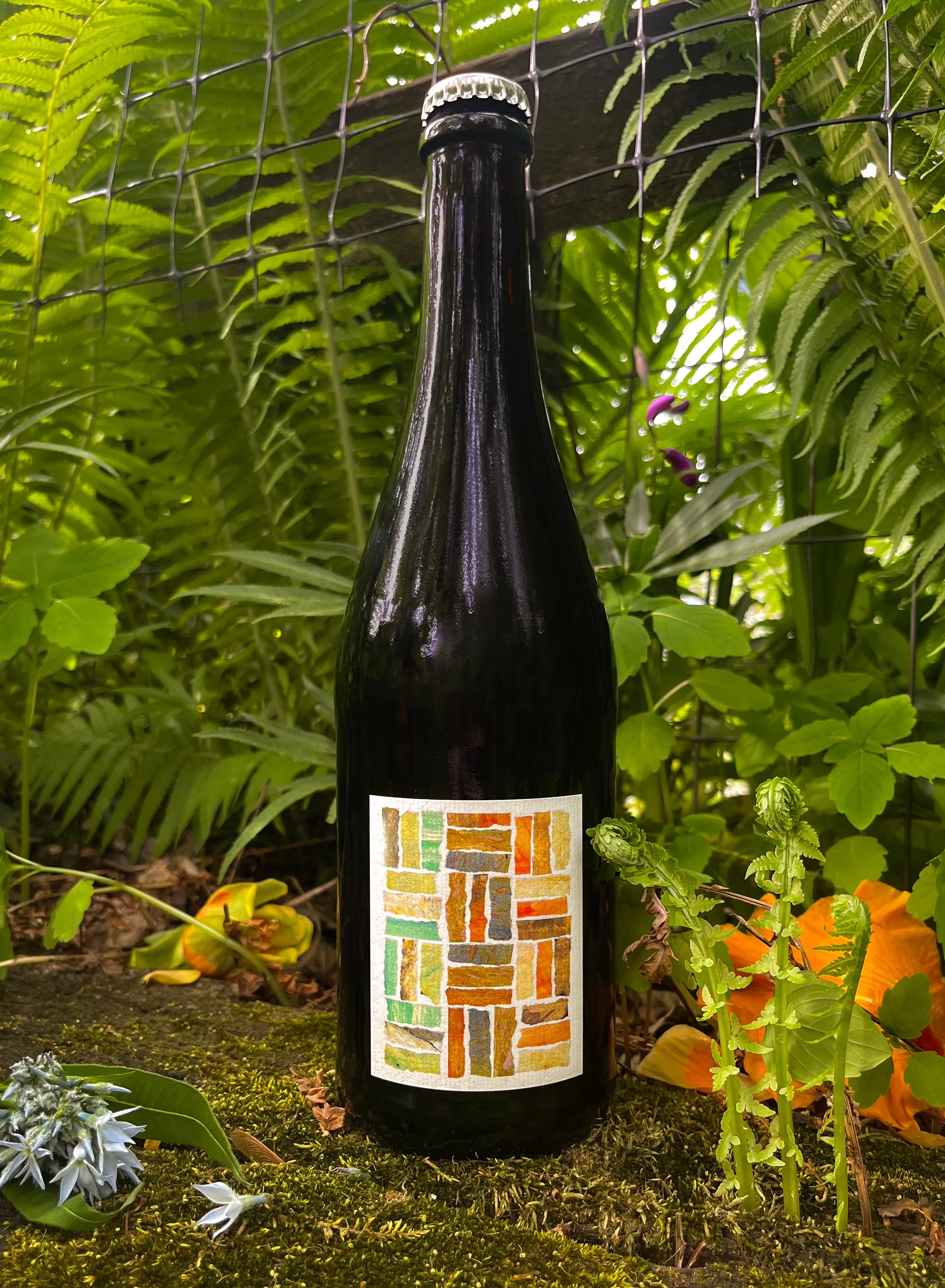 Ciders / Wines — PATOIS