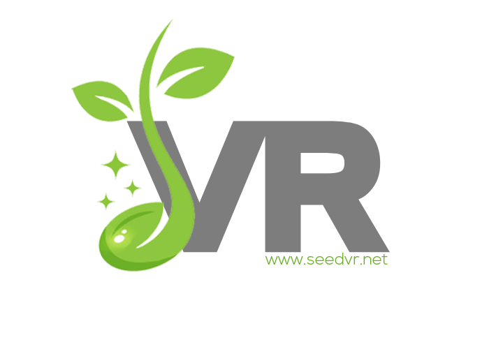 Seed Vrseed Vr Vr Consulting Immersive Experience Experts