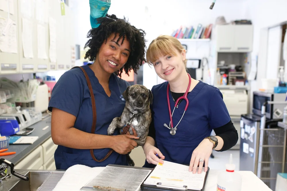 Animal Wellness Centers