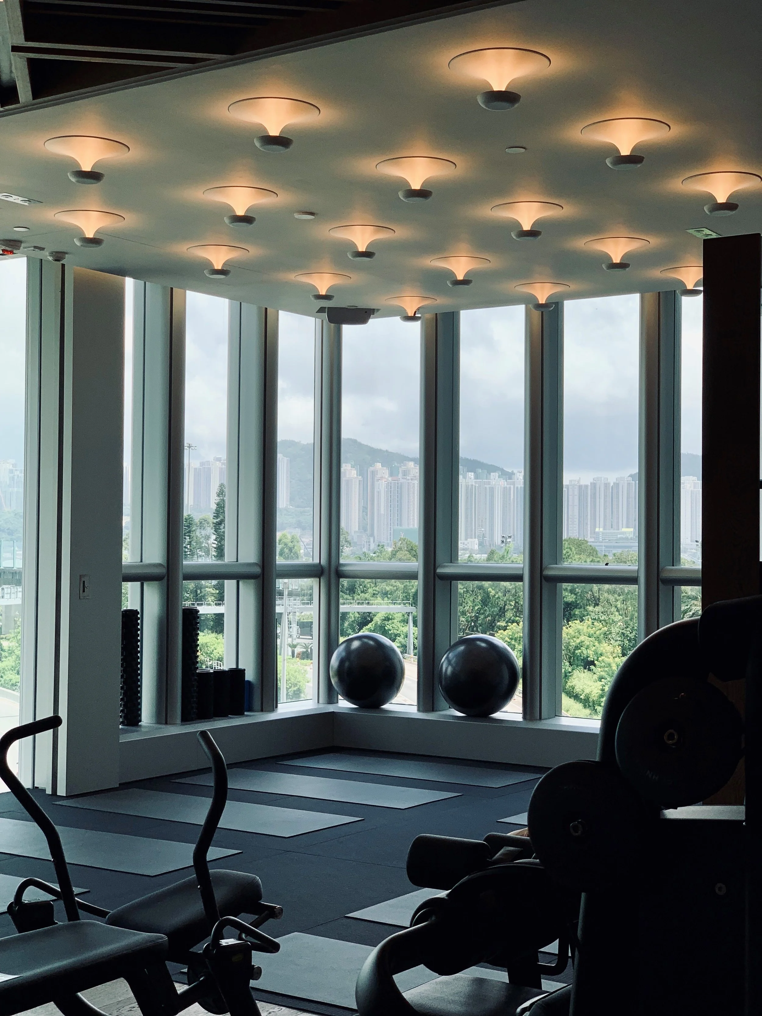 Amuse Lighting and Consultancy. Sustainable Lighting Design. Lutron Expert