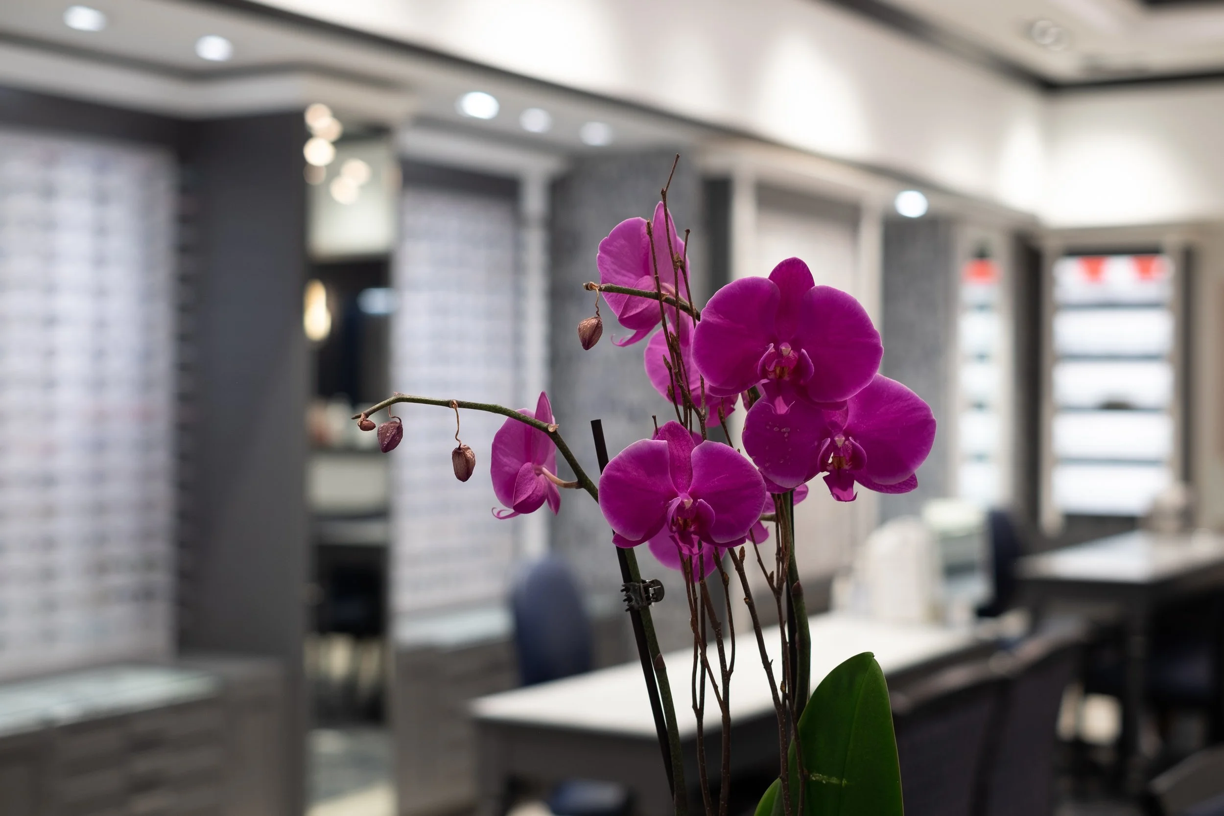Clairmont Nichols Opticians - New York's Opticians Since 1885
