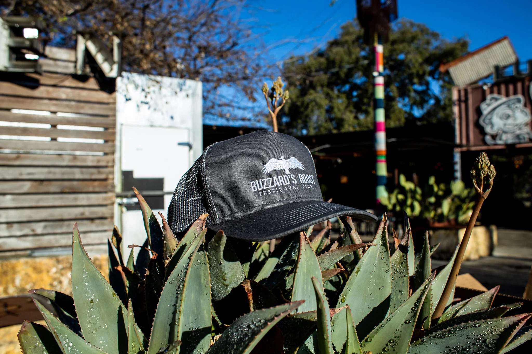 Terlingua, Texas Souvenirs - Tshirts, Stickers, more — Buzzard's Roost ...