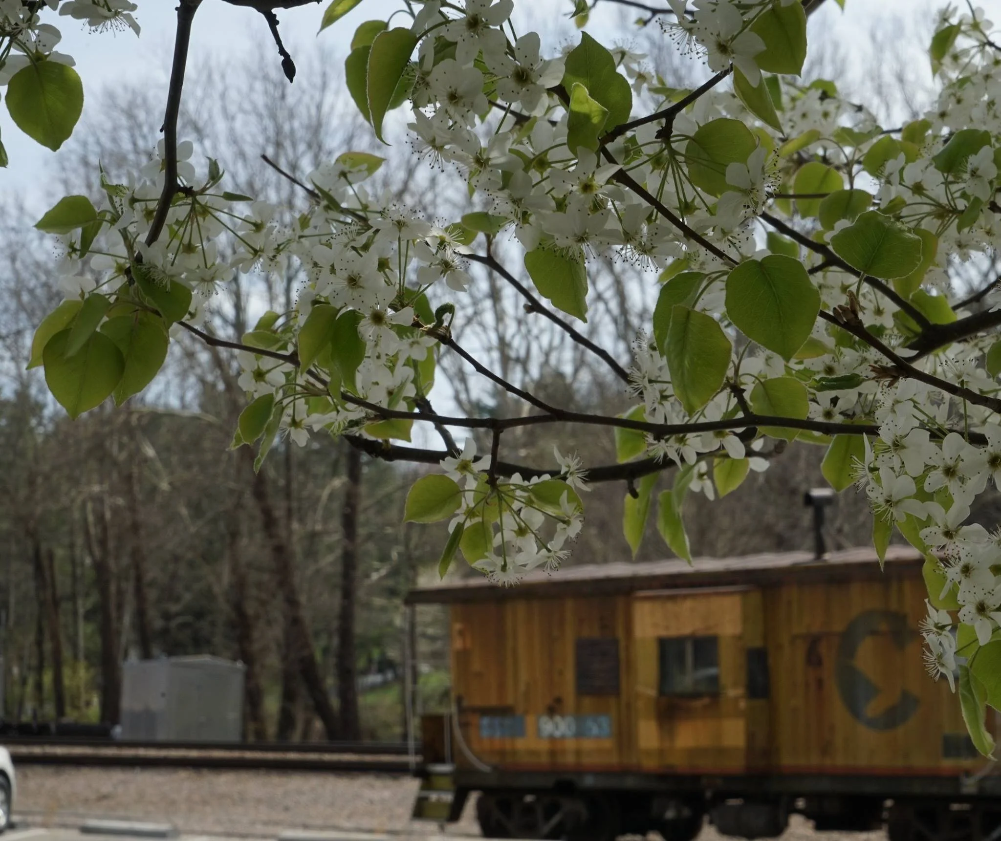 About — Discover Spruce Pine NC