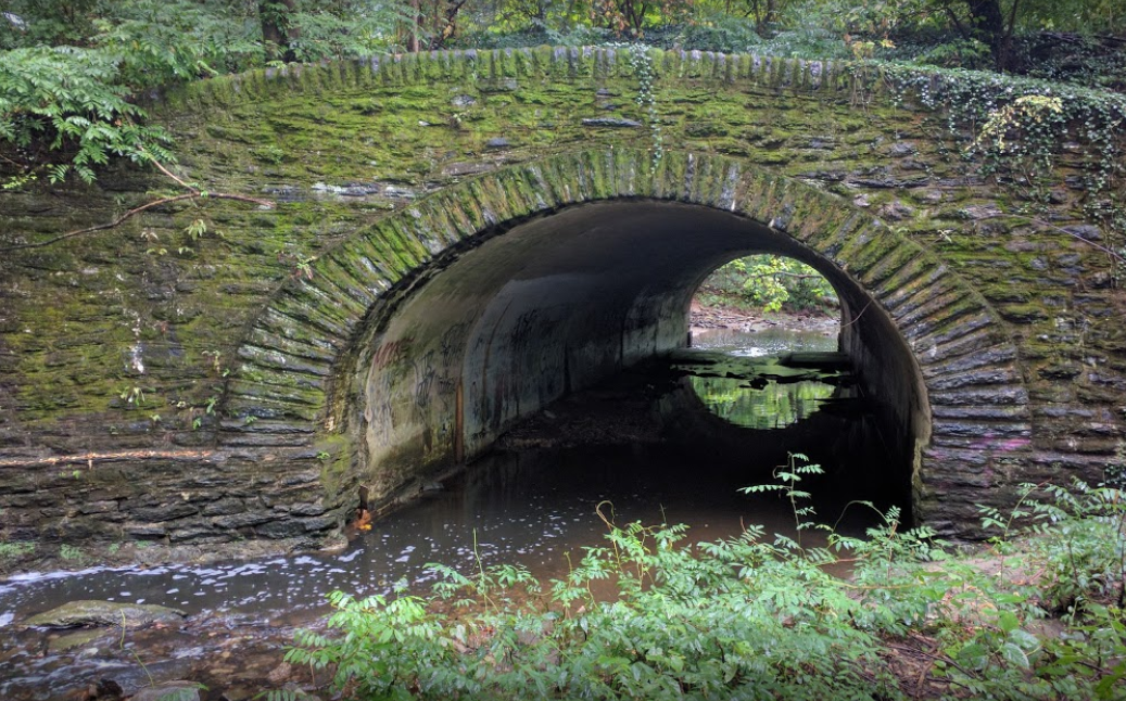 Friends of Morris Park