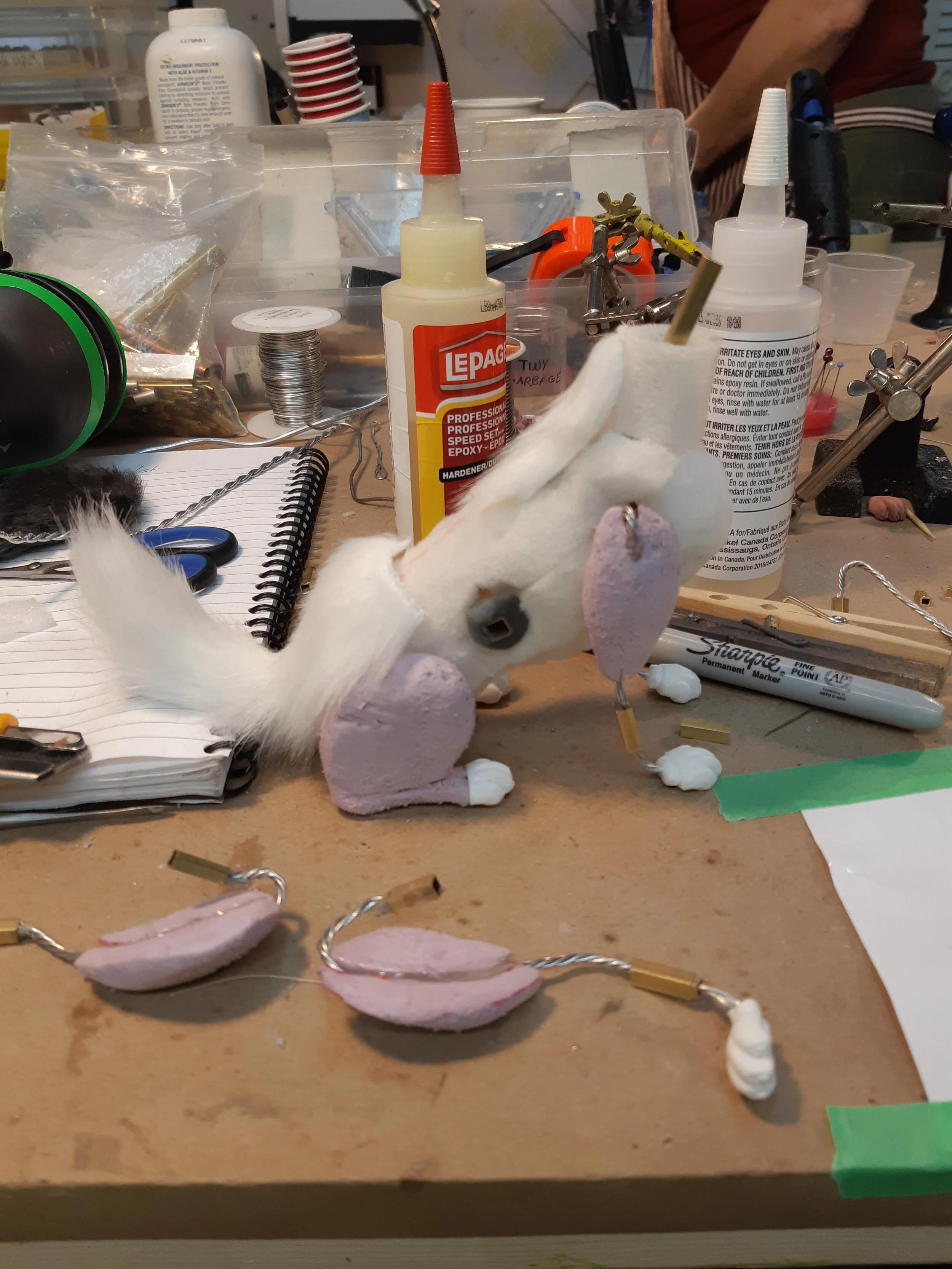 The Shaman's Apprentice — Triple Cerberus Studios