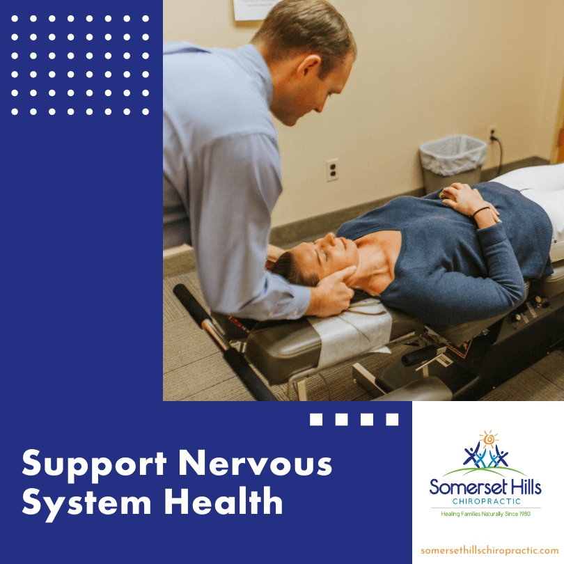 Support Nervous System Health — Somerset Hills Chiropractic