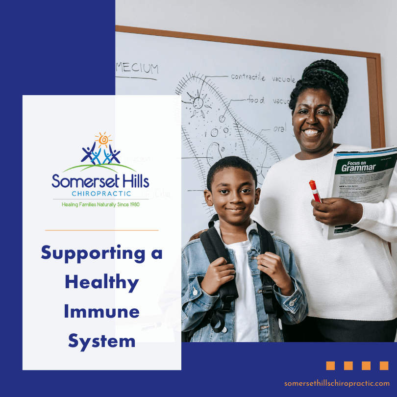 Supporting a Healthy Immune System — Somerset Hills Chiropractic