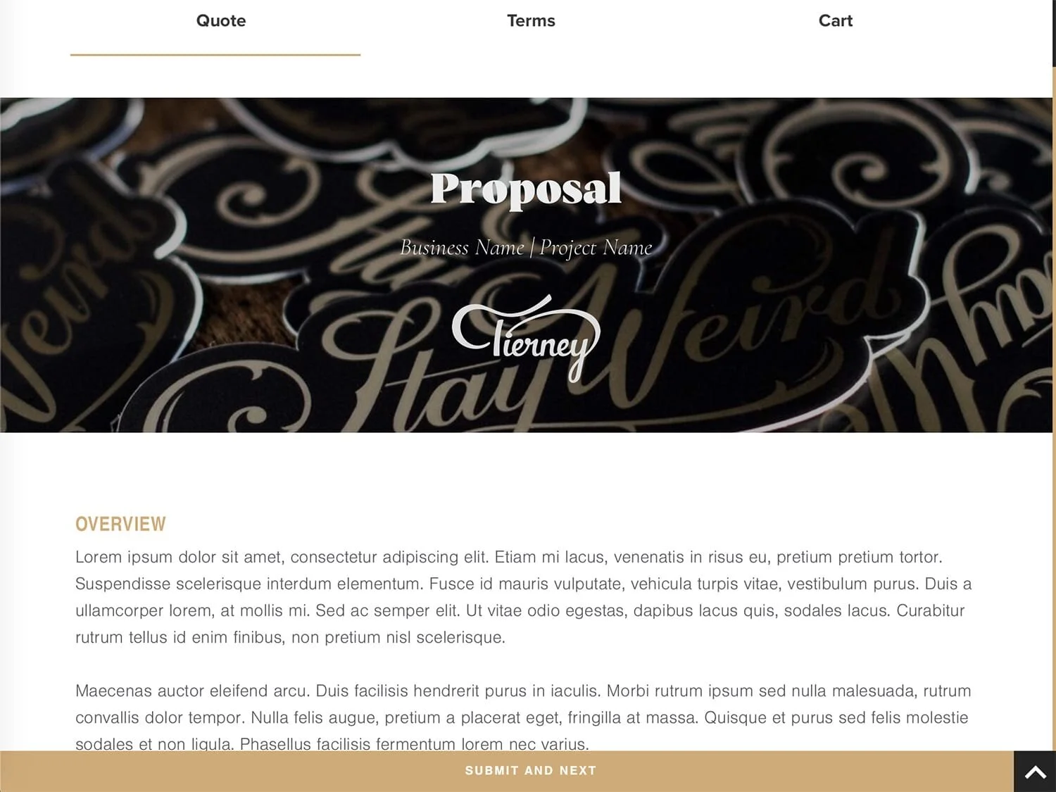 Learn Tips & Tricks On How To Customize Dubsado — Dub-ins
