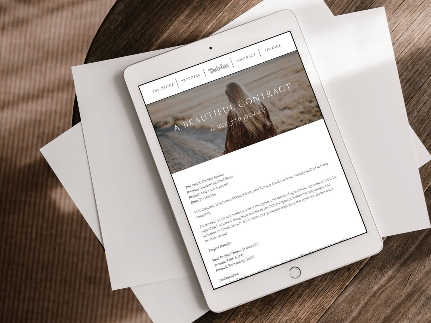 Learn Tips & Tricks On How To Customize Dubsado — Dub-ins