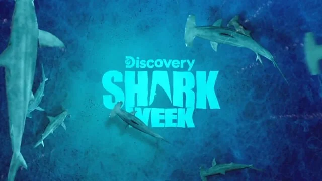 Shark Week Wallpaper