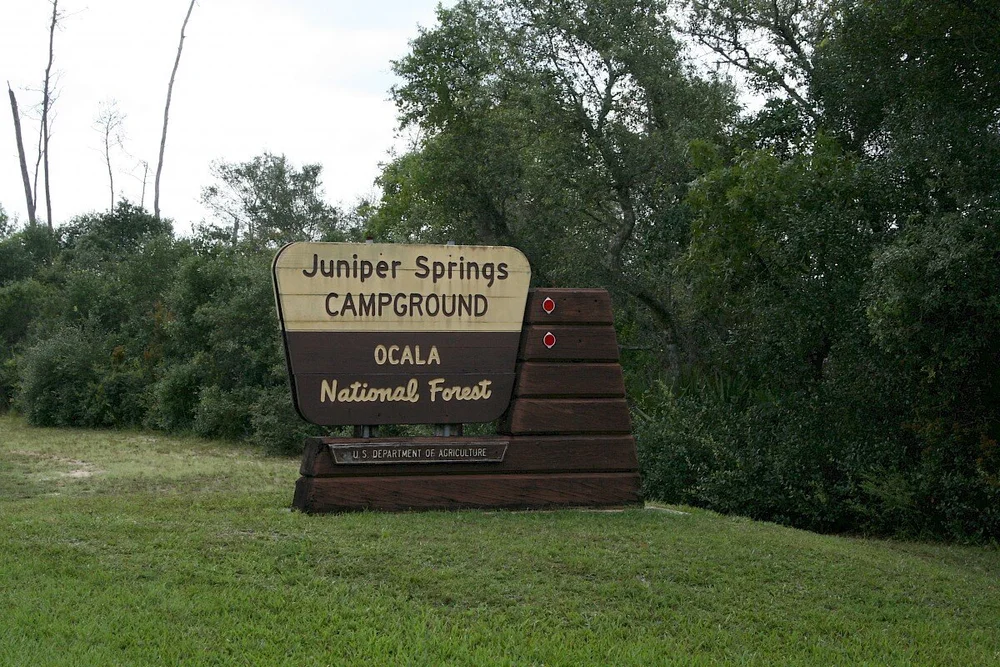Are Dogs Allowed At Juniper Springs