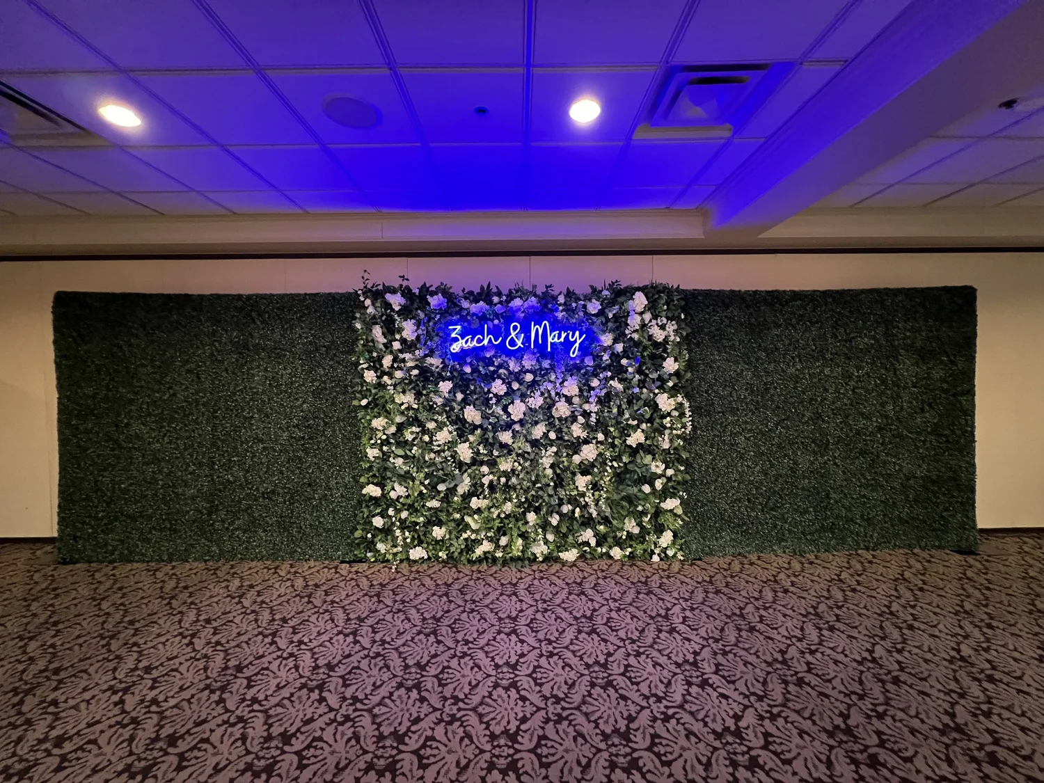 Greenery Backdrop Rentals - MN & WI — Boxwood Rose