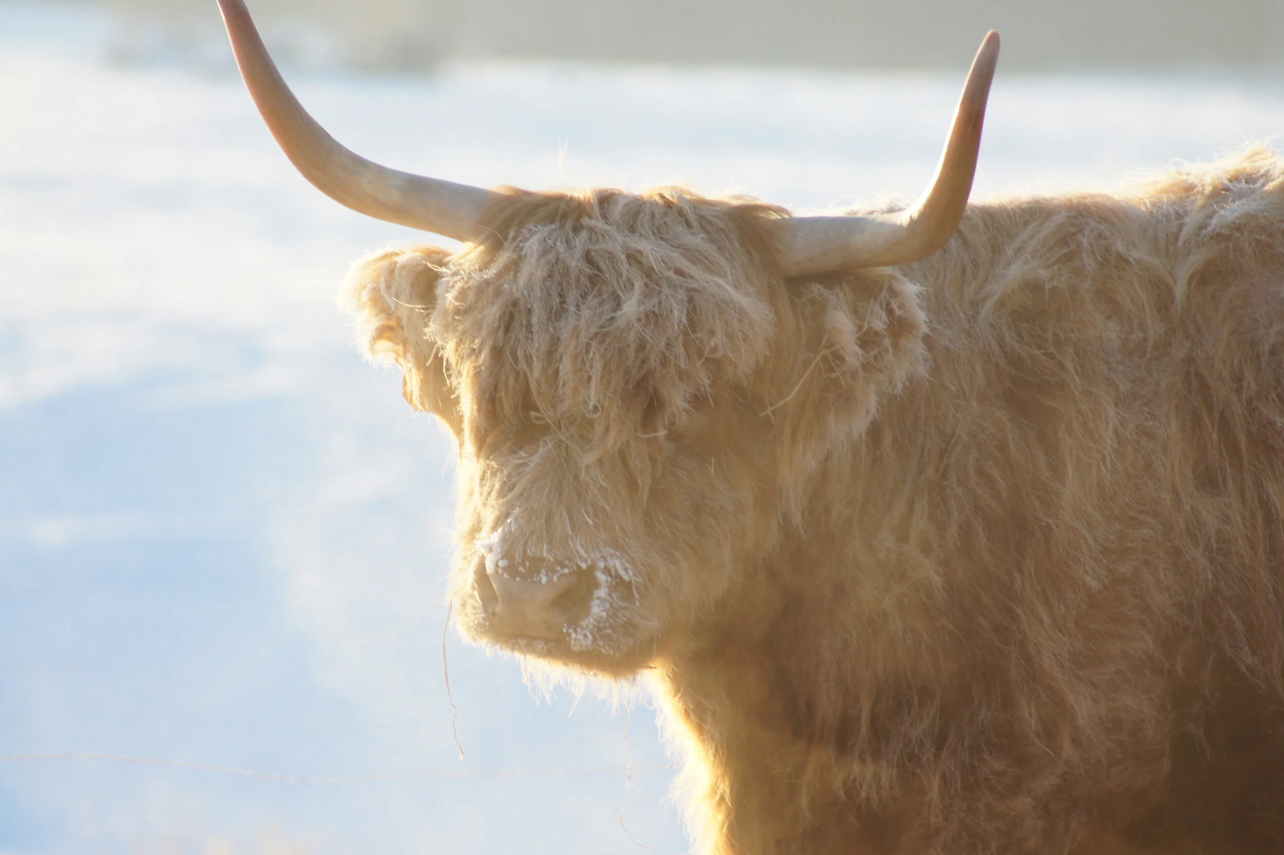 About Us — KDE Farms