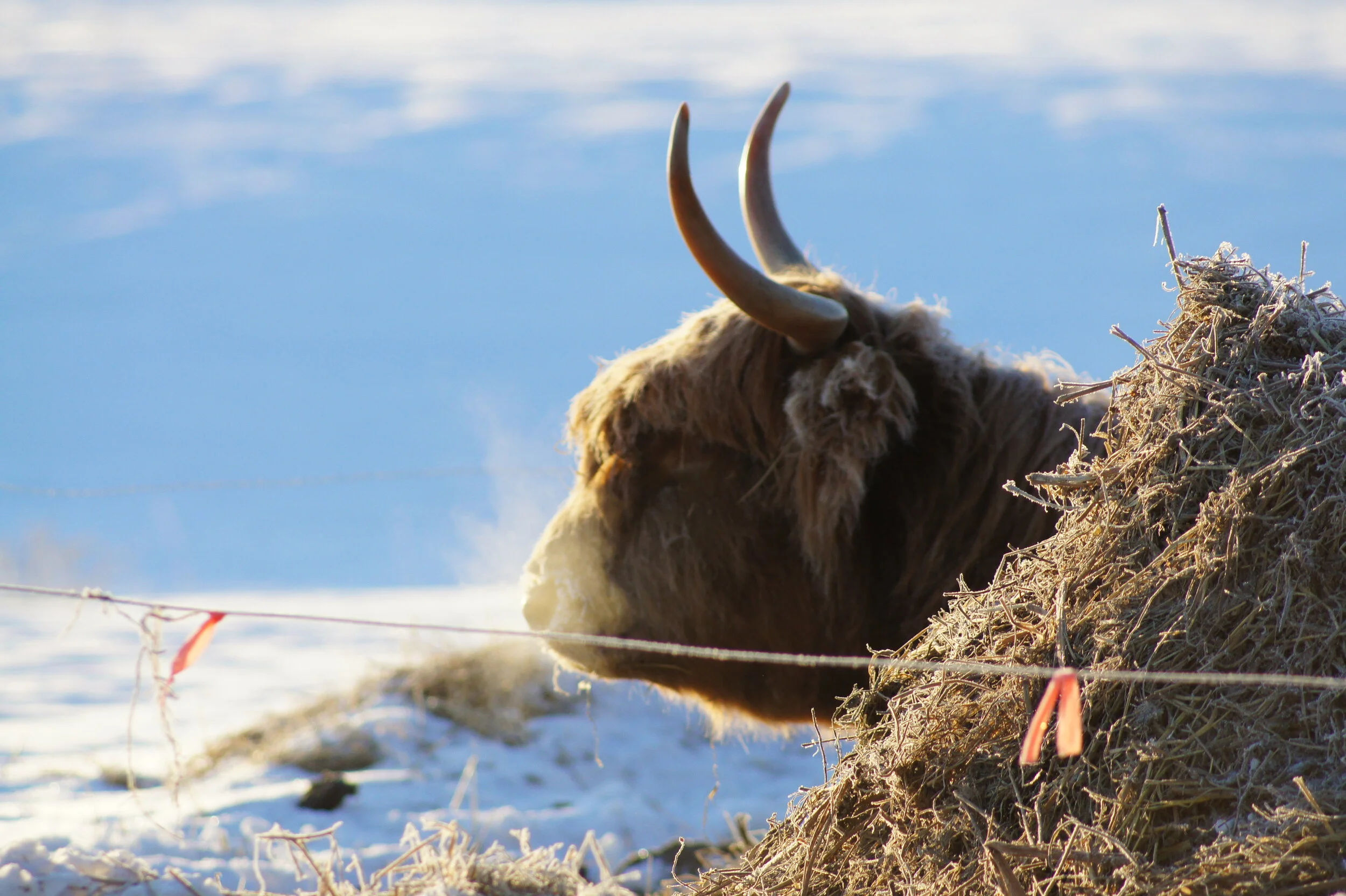 About Us — KDE Farms