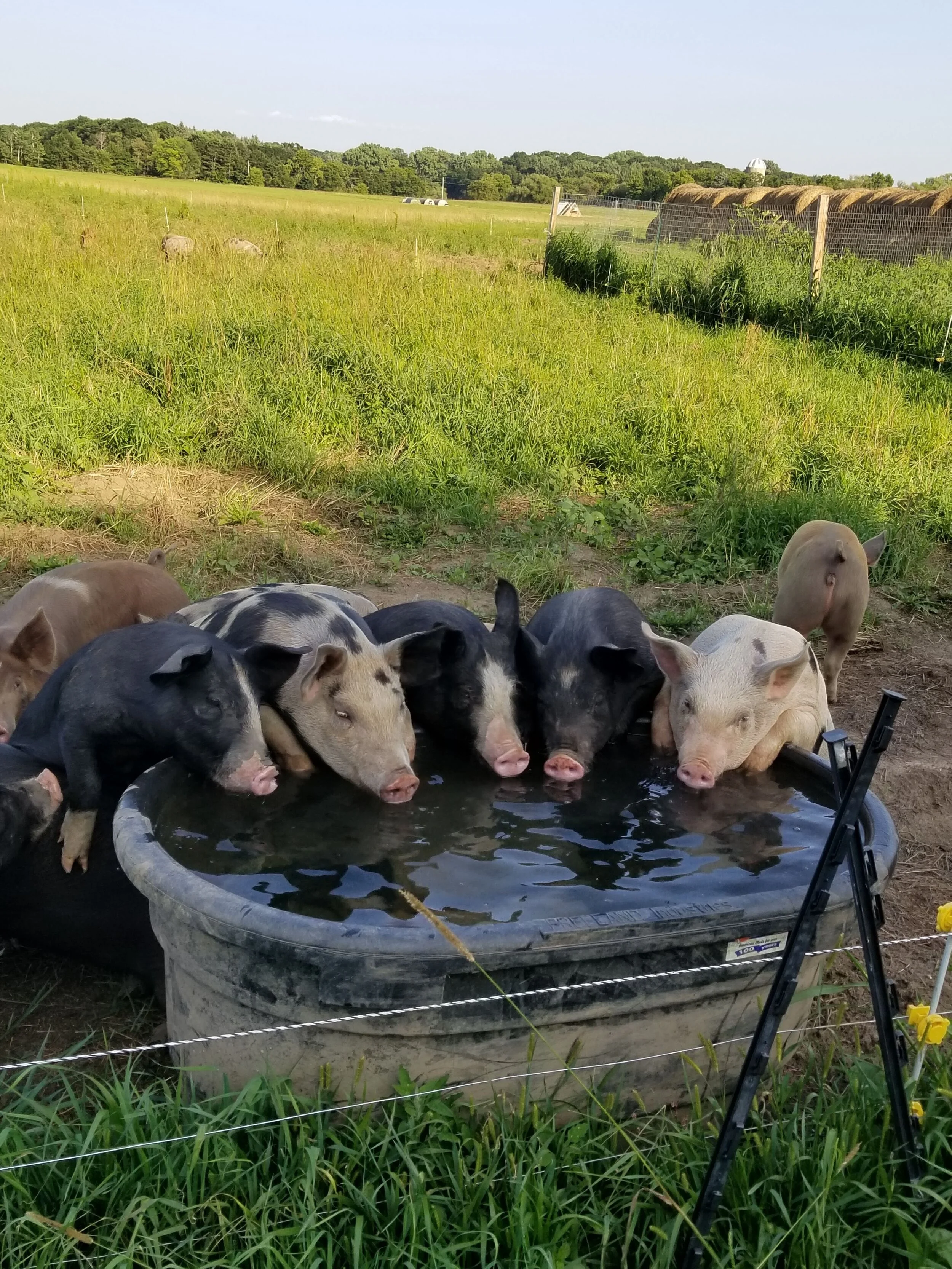 About Us — KDE Farms