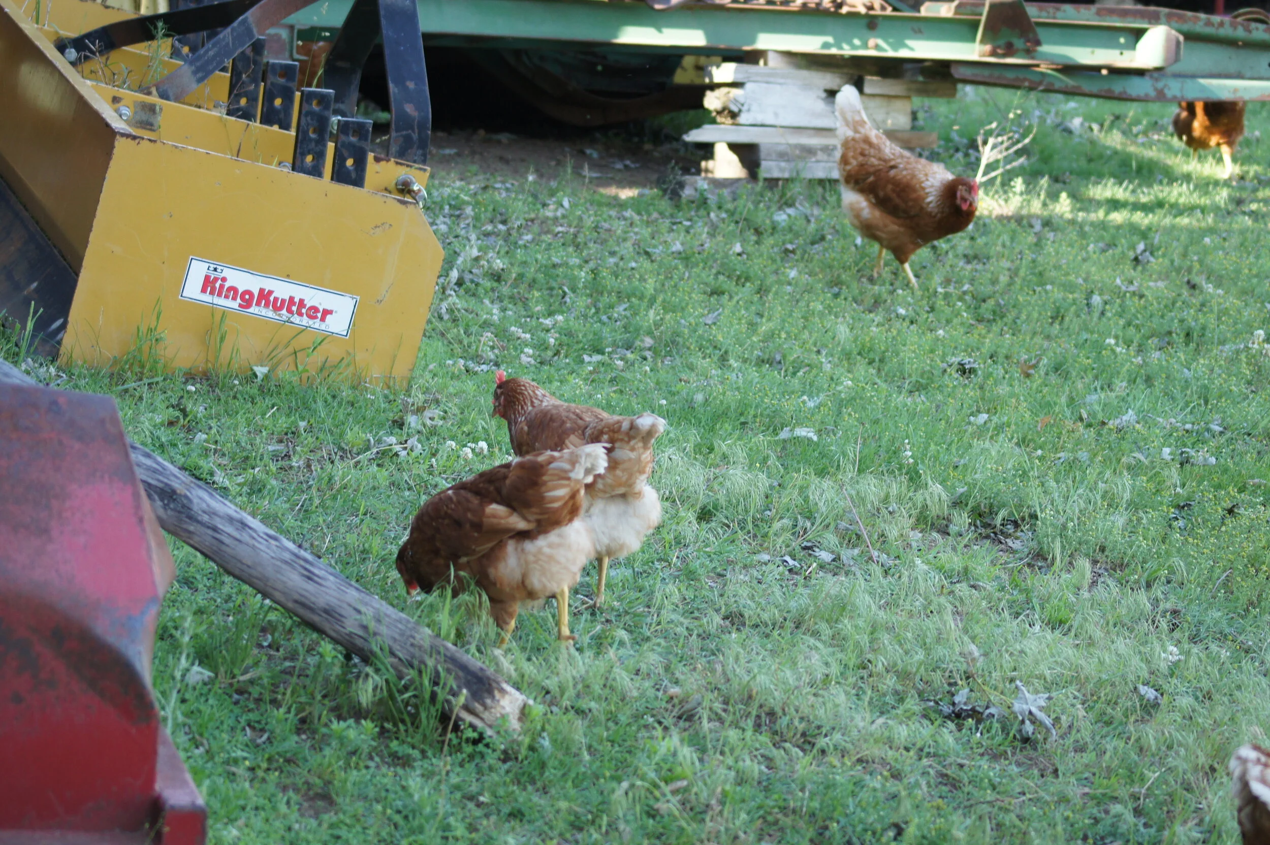 About Us — KDE Farms