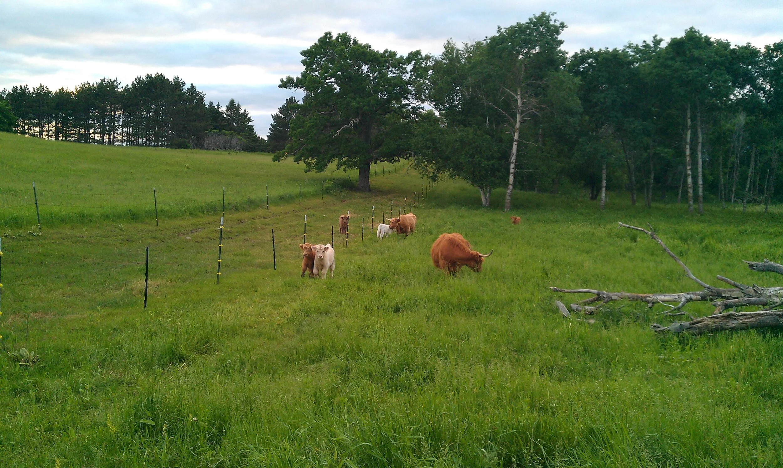 About Us — KDE Farms