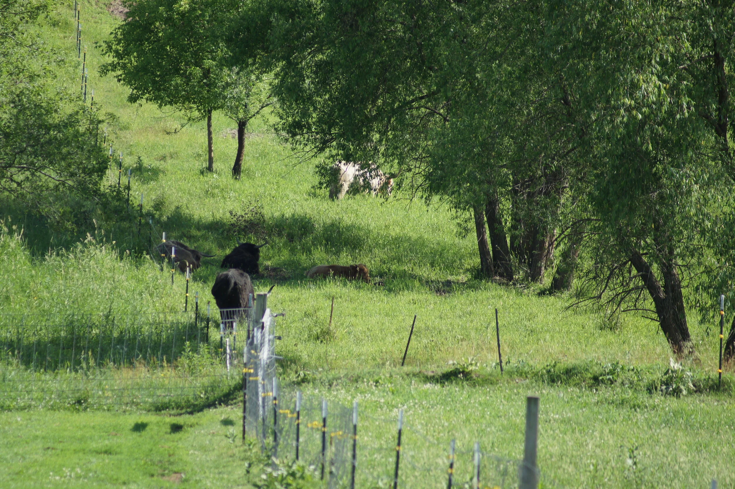 About Us — KDE Farms