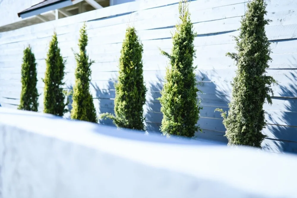 What Are The Principles of Landscape Design? — Deep Rooted Design