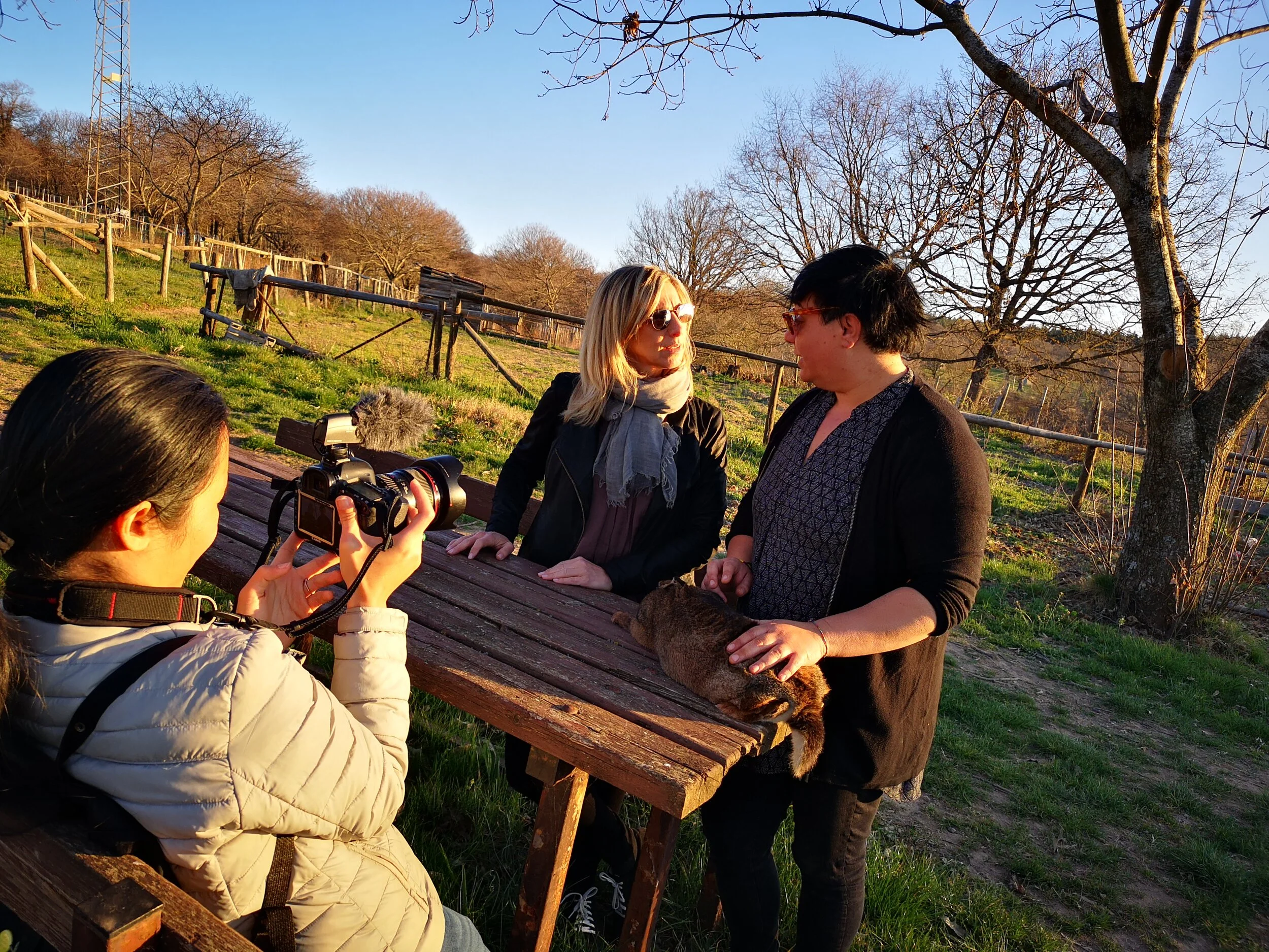 About — Hope Cohen