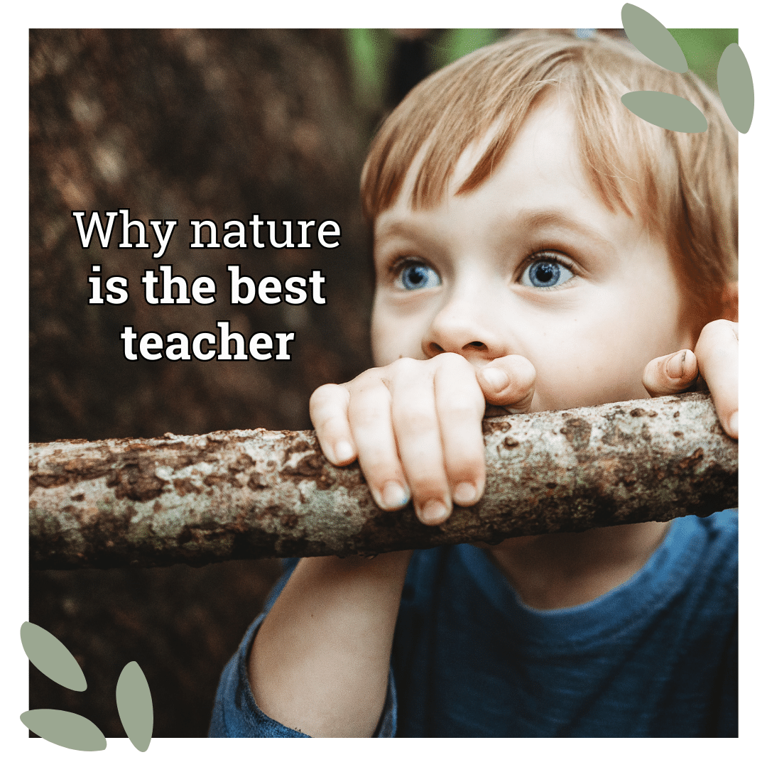 Nature Play and Bush Kindy Training — Wildlings Forest School