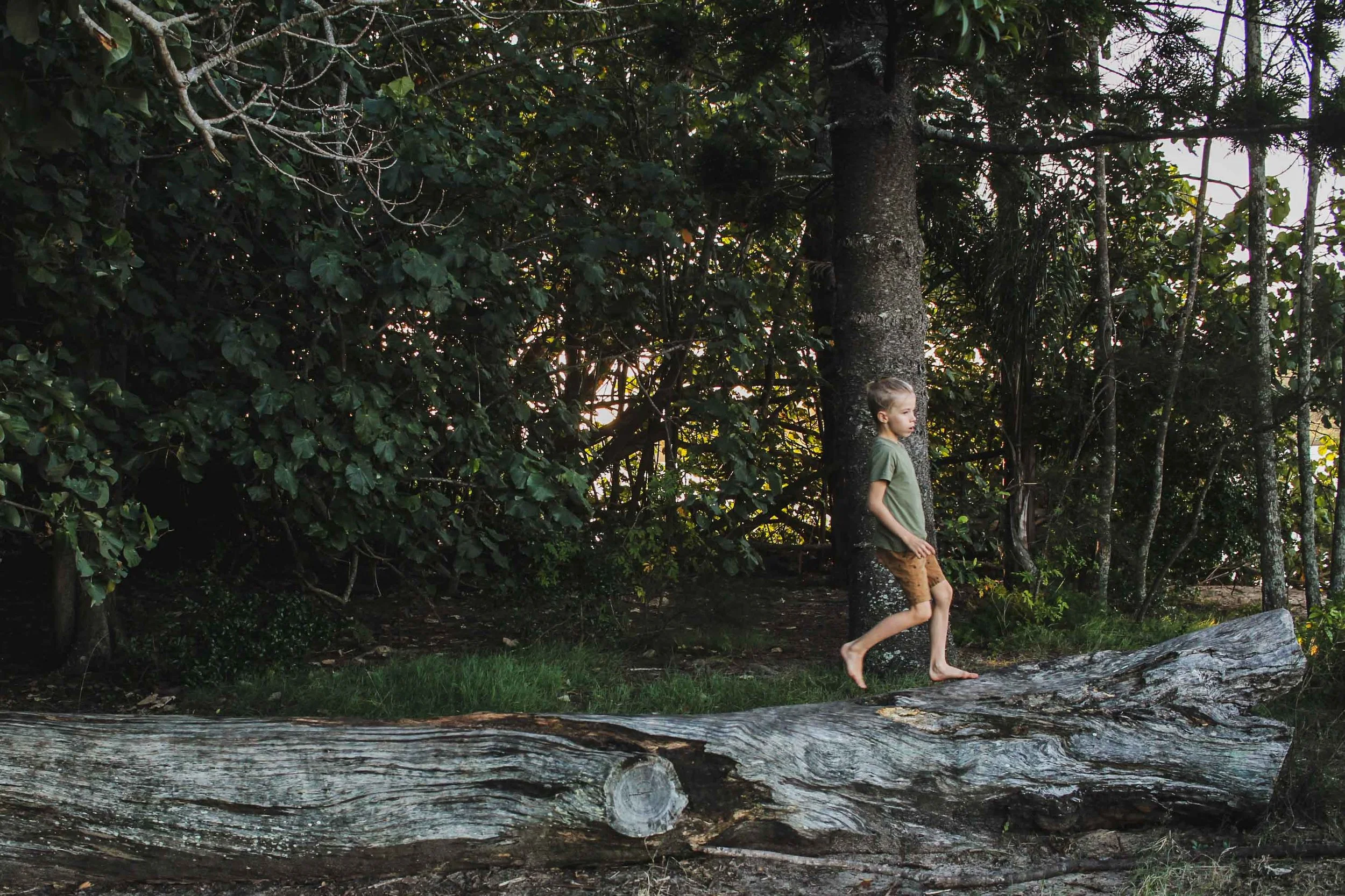 Death & Decay at Forest School — Wildlings Forest School