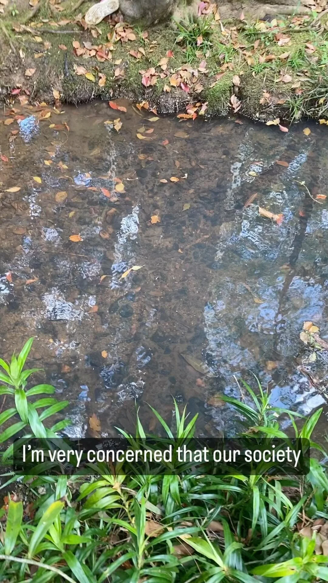 Wildlings Forest School