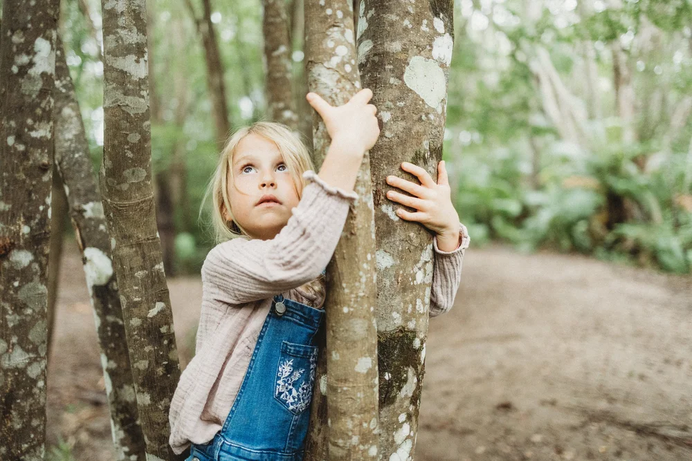 Reconnect with Nature: The Magic of Forest Bathing for Families ...