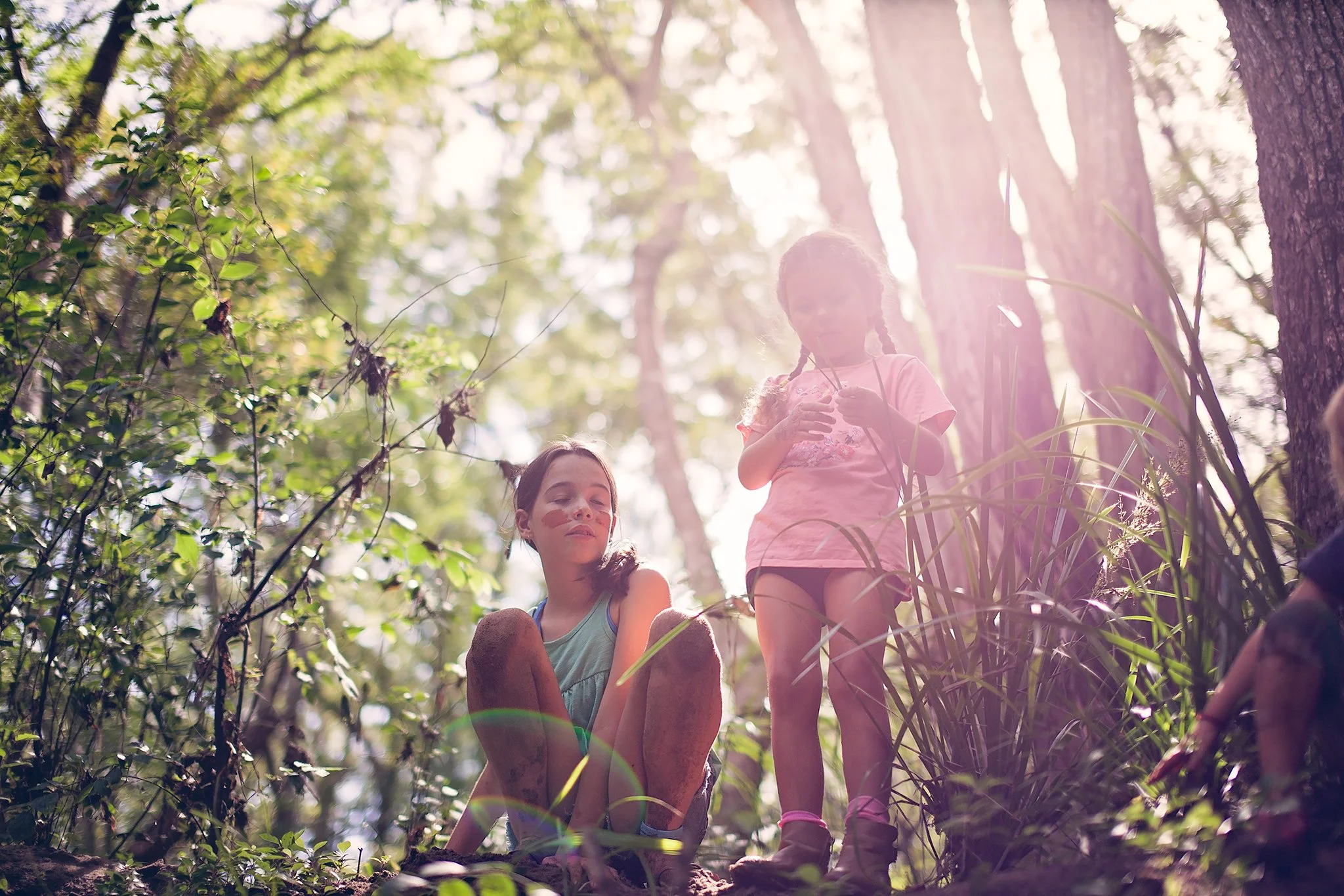 6 Rainy Day Adventure Destinations in Brisbane and Sunshine Coast ...