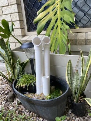 Build a Frog Hotel: A Fun, Educational Project for the Family ...