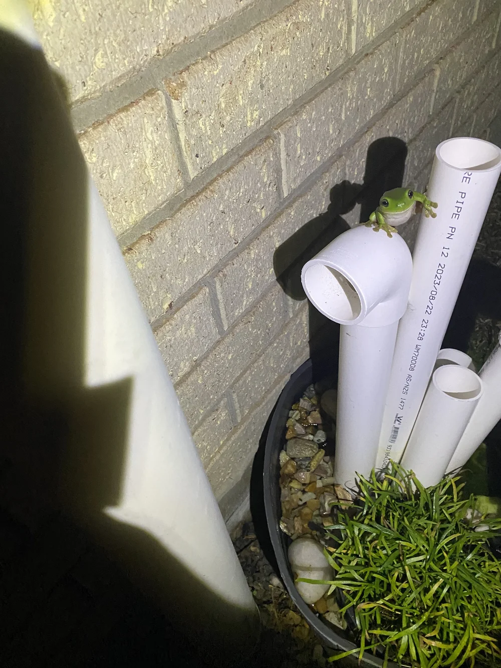 Build a Frog Hotel: A Fun, Educational Project for the Family ...