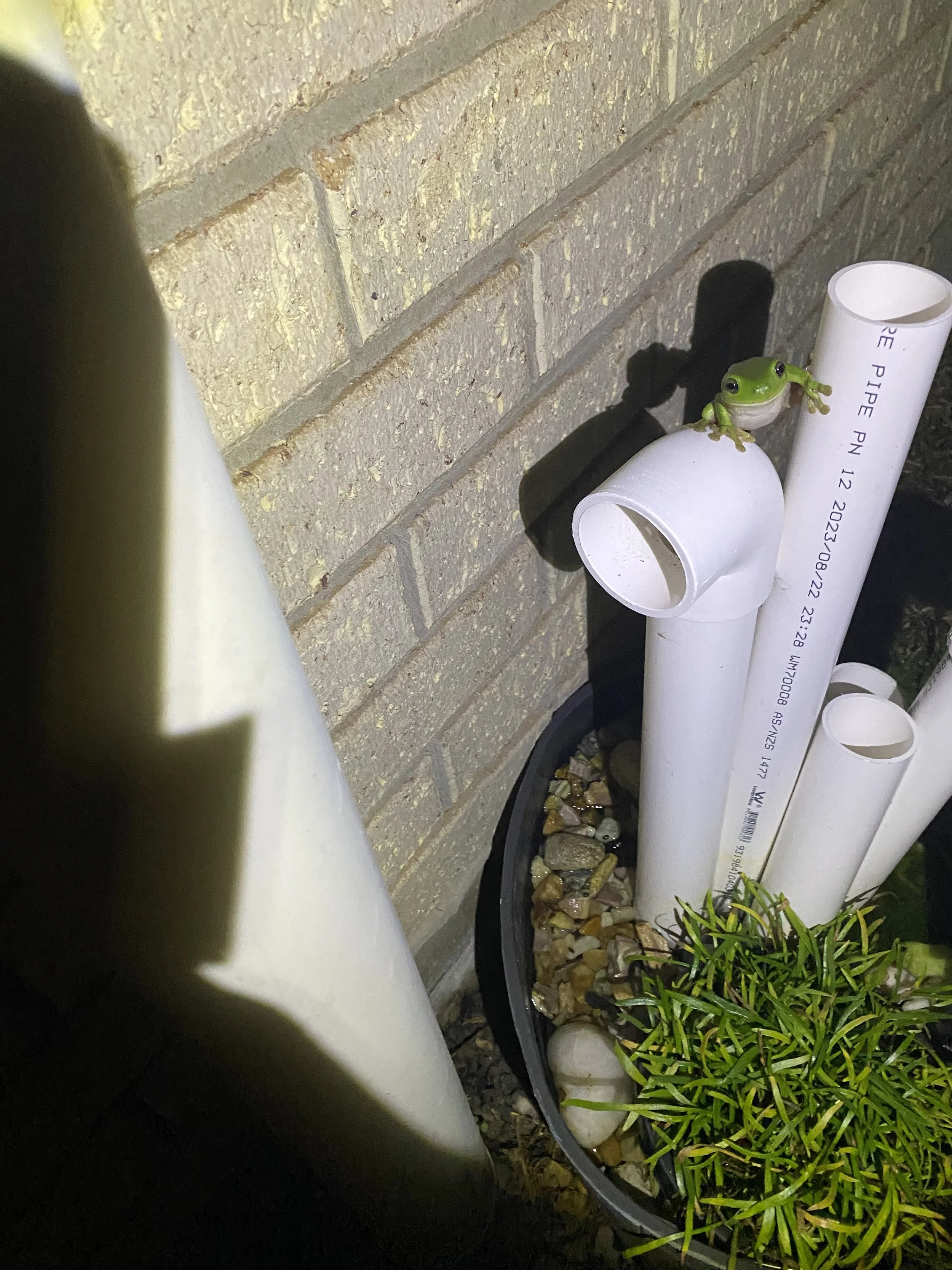 Build a Frog Hotel: A Fun, Educational Project for the Family ...